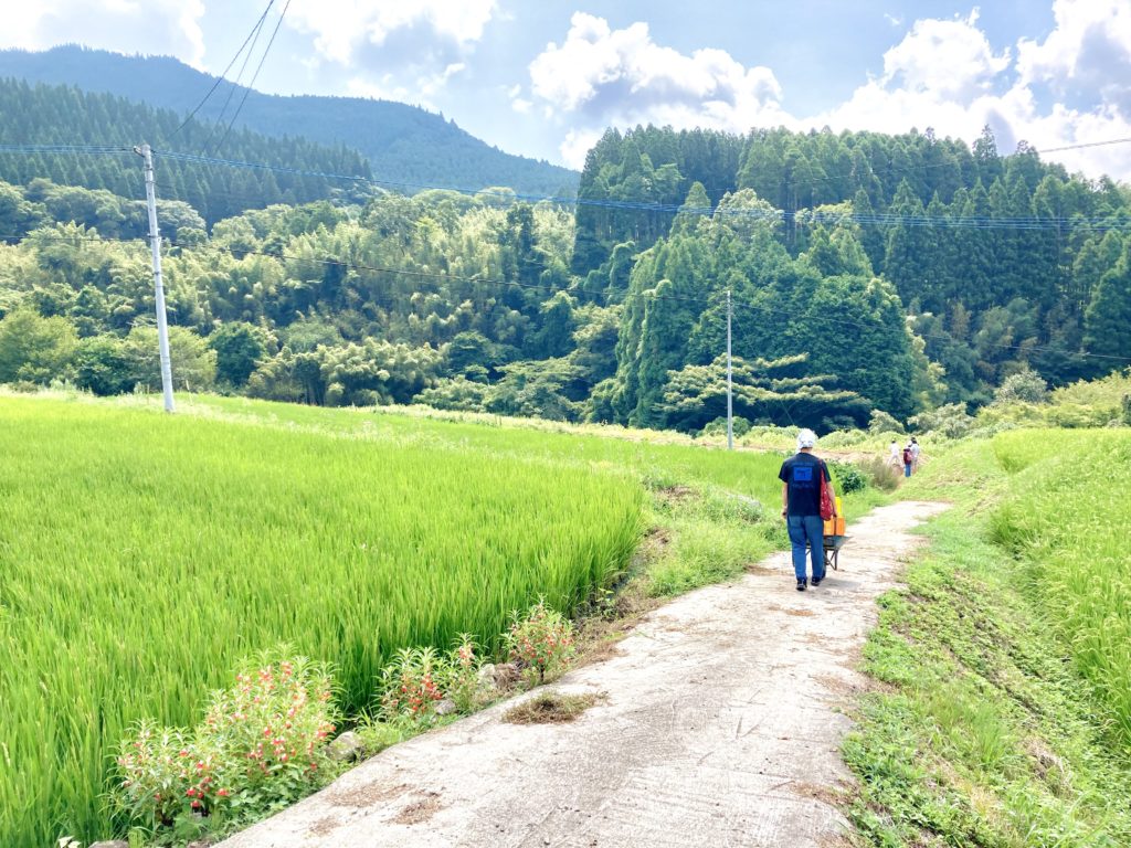 焦げ付く夏のカレーには感謝しかないんじゃが - 就労継続支援B型かぎしっぽ